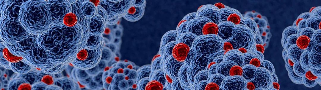 Introduction to Modelling Infectious Diseases in R – The GRAPH Courses